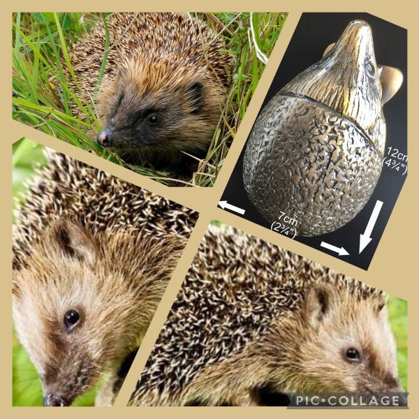 A PRICKLE OF HEDGEHOS DOOR KNOCKERS @ CASAS DOOR FURNITURE – dreamair.co.uk